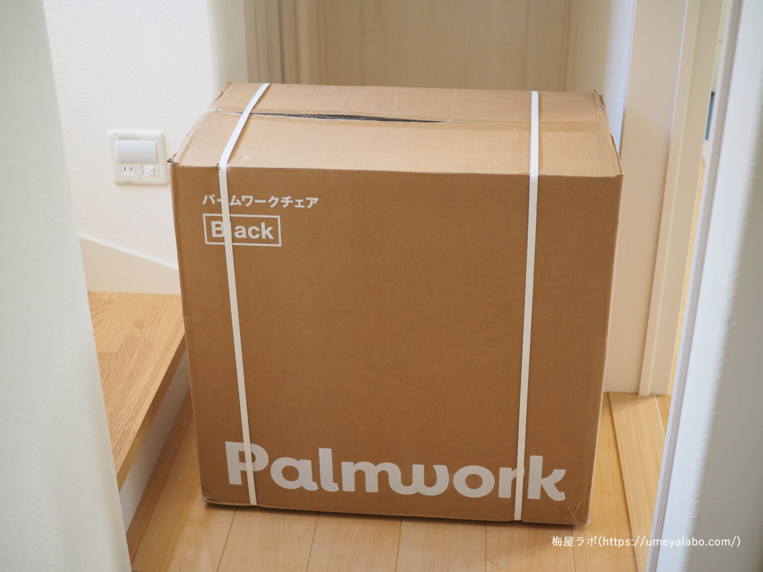 Palmwork パームワークチェア徹底レビュー＆グロウスピカ プロとの性能比較 | ULABO